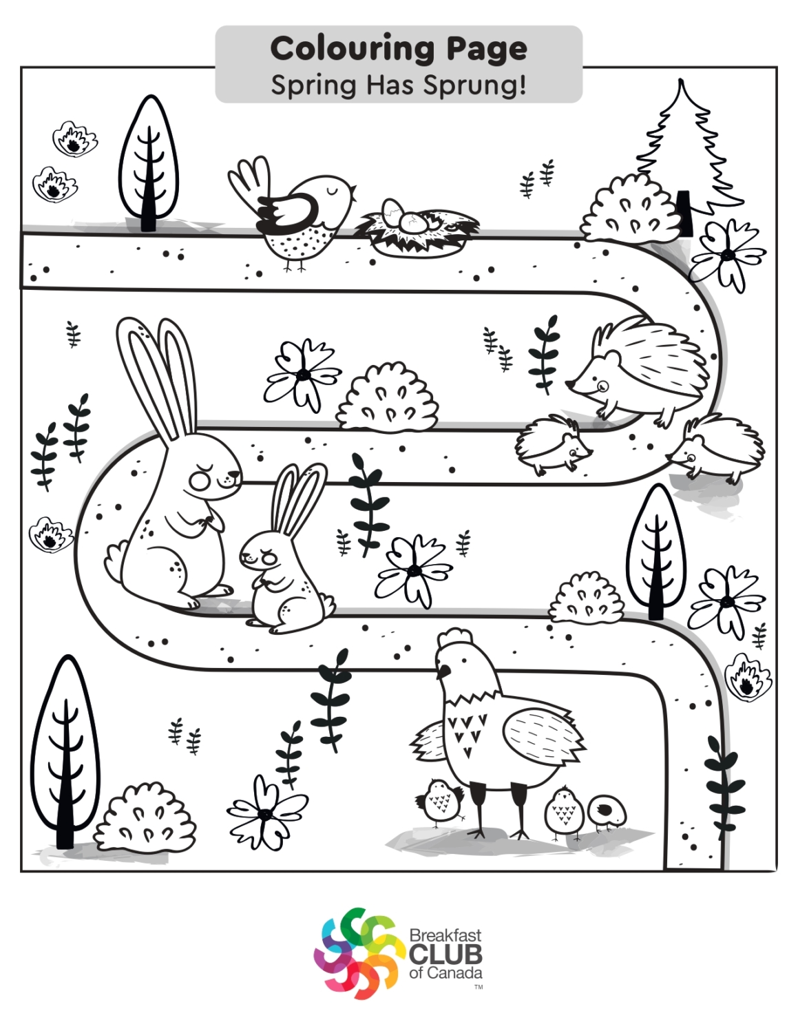 Colouring Page – Spring Has Sprung!